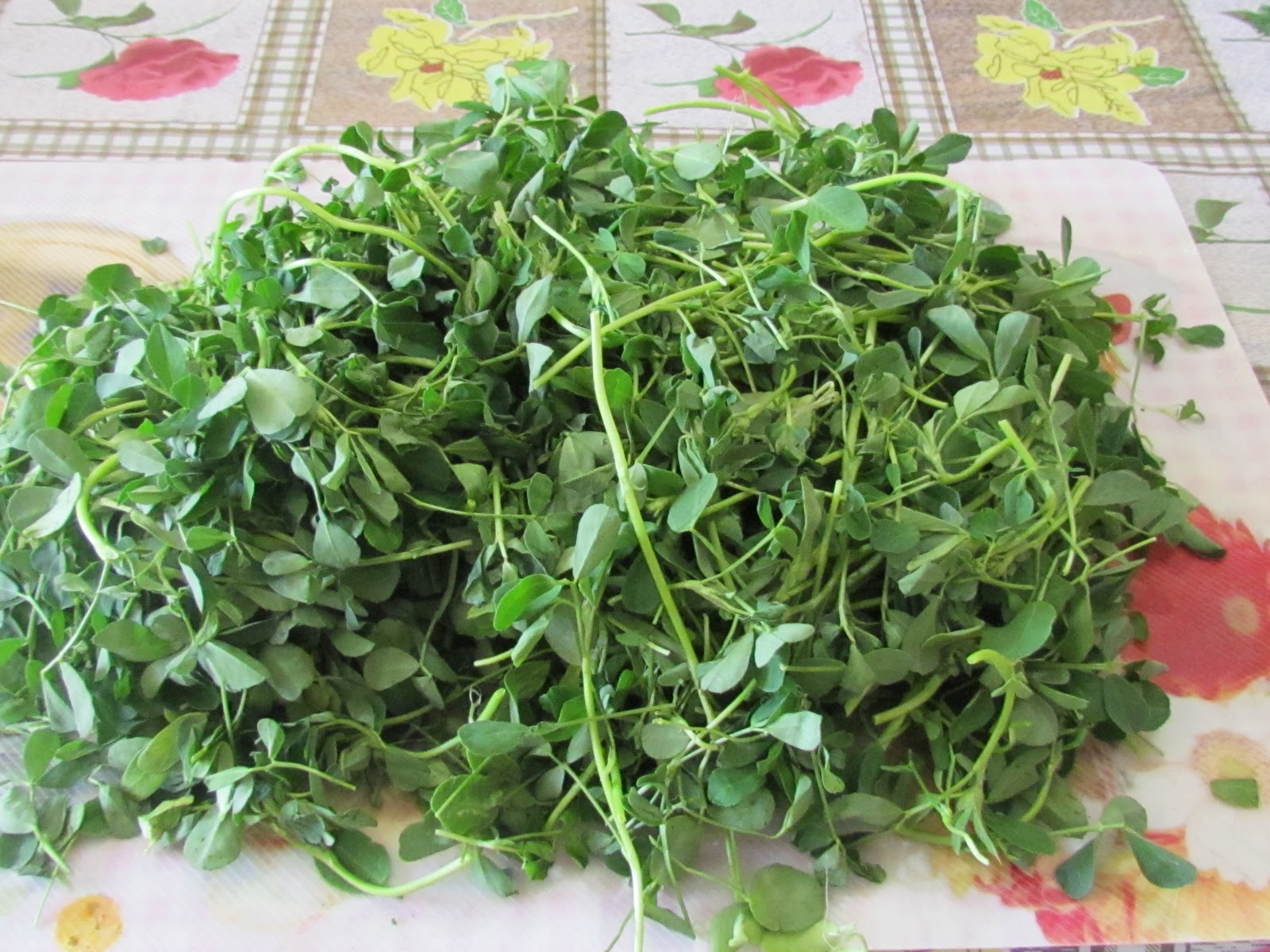 With Love from Mom's Kitchen: Methi Parantha (Indian flat pan fried ...