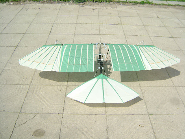 aerosapien: Mini sized ornithopter
