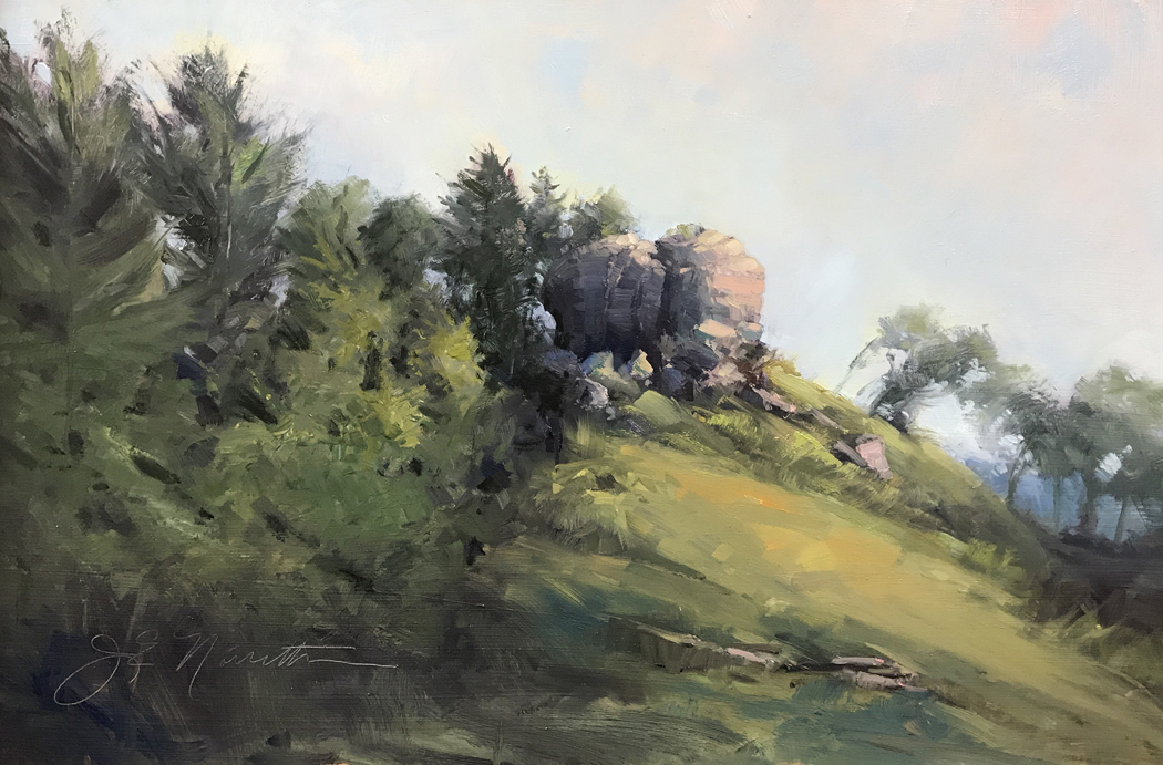 Dane County Plein Air Painters: Donald Rock at Donald Park, Mt Vernon ...
