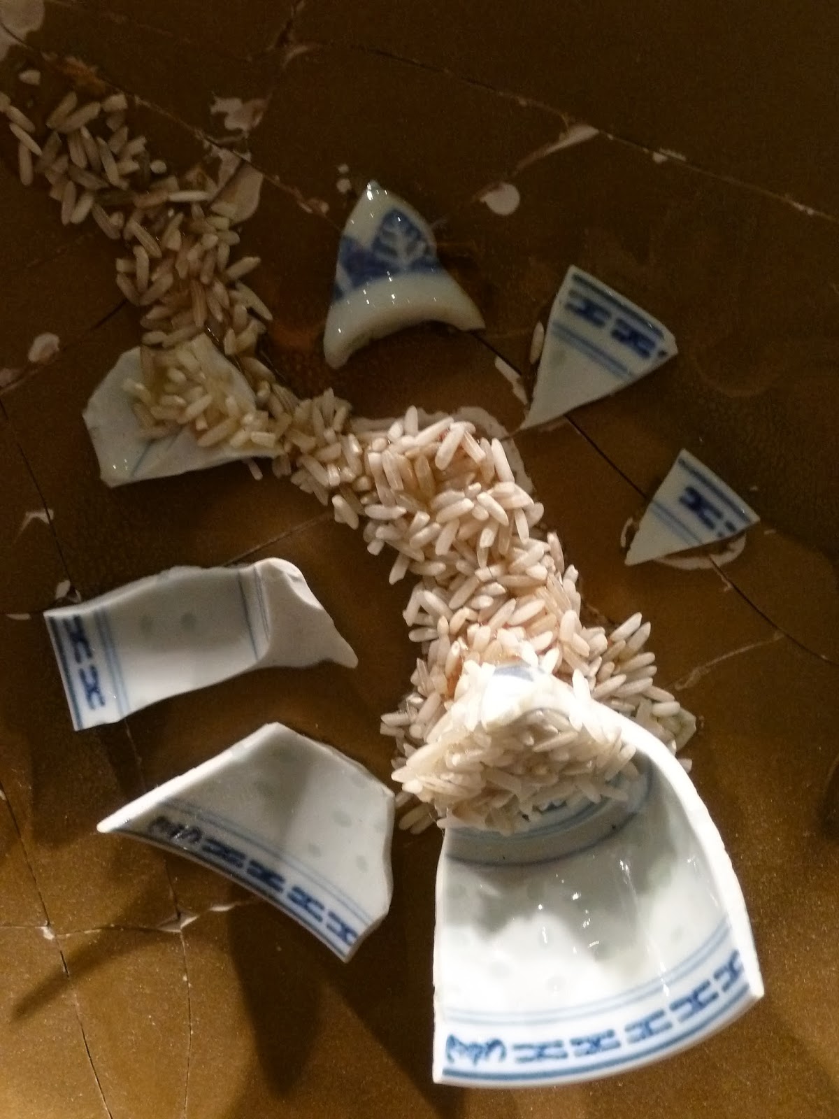 A Thousand Reasons: A Broken Bowl of Rice