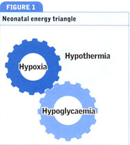 NeonatalThermoregulation