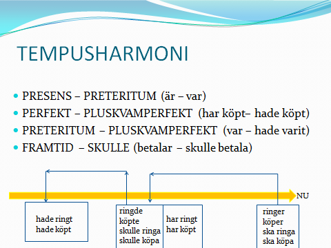 SFI D fredag 2016-04-29 ~ Mjölby SFI