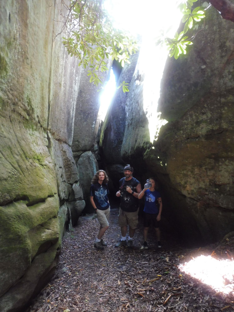 The Enchanted Tree: Hiking the Great Channels of Virginia