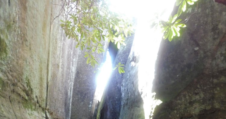 The Enchanted Tree: Hiking the Great Channels of Virginia