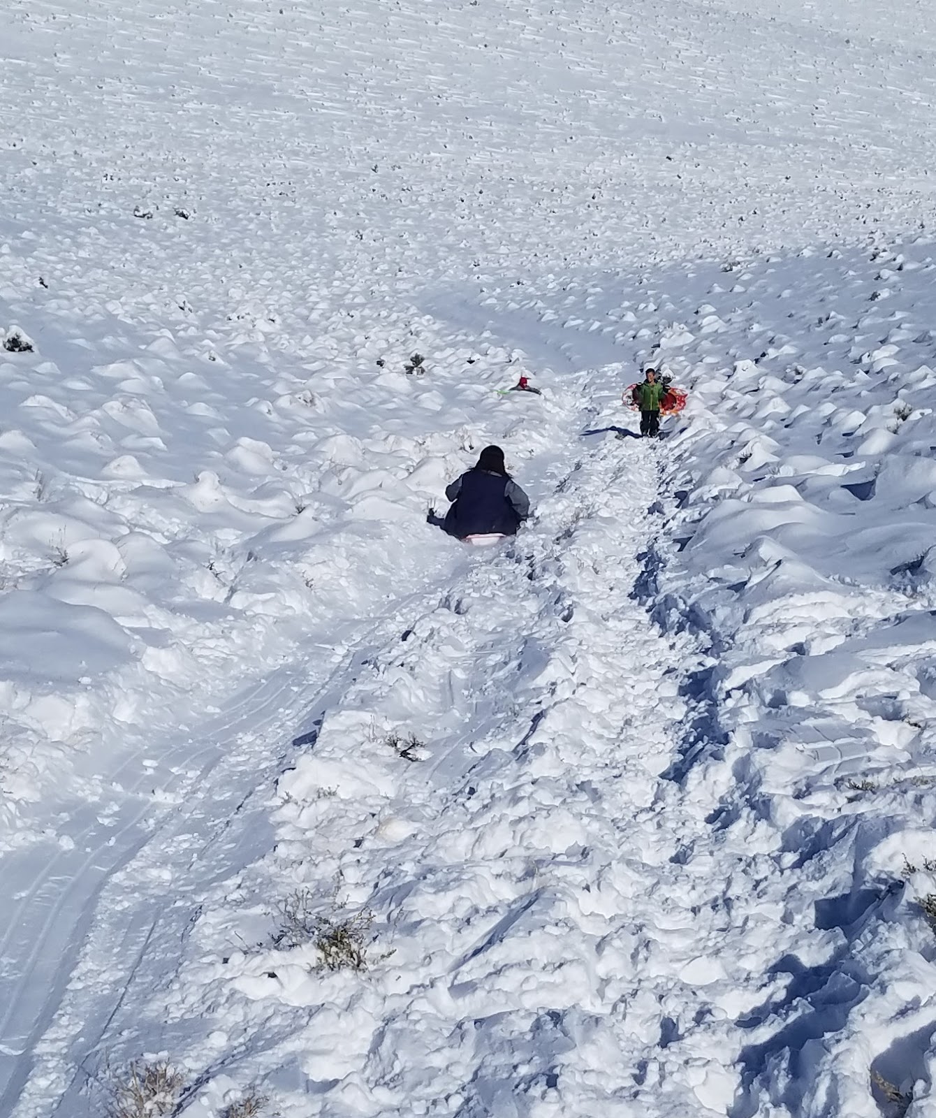 Desert Survivor: Sledding and Skiing after the Storm