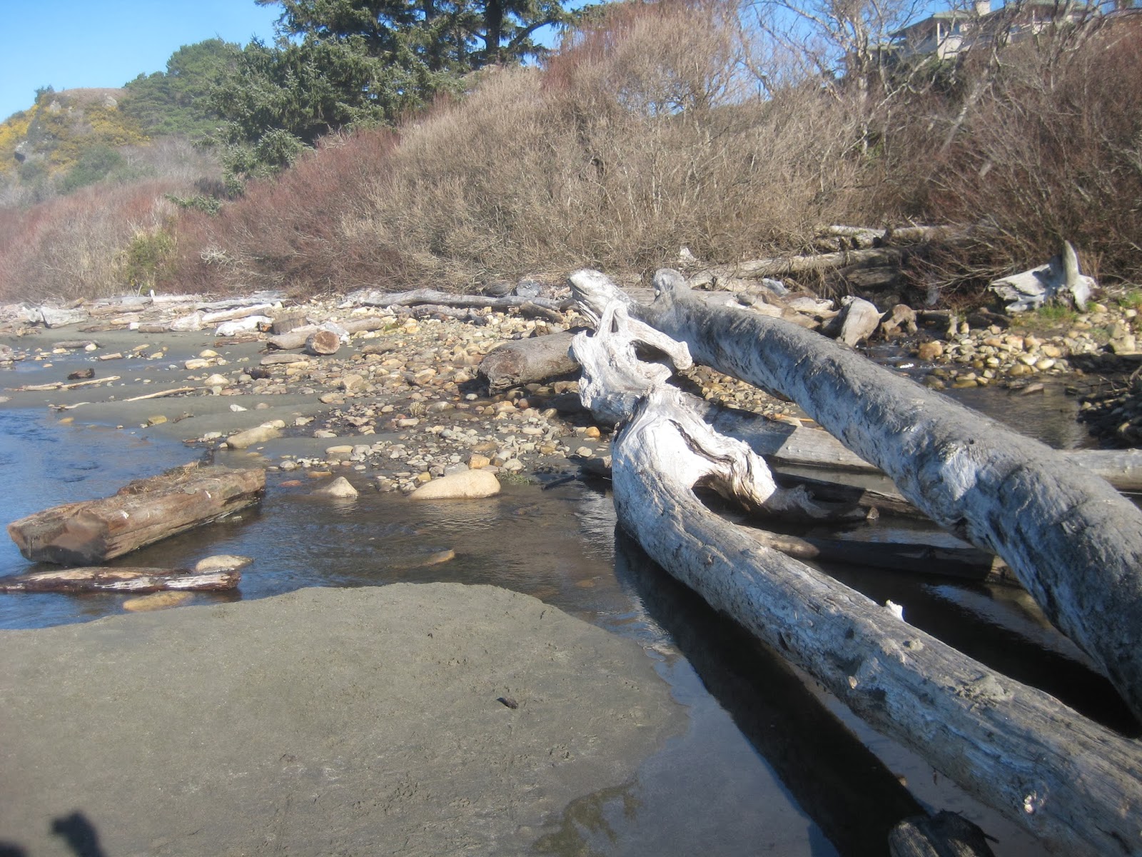 Glenn & Carol's Hiking Adventures: Harris Beach - Arch Rock - Natural ...