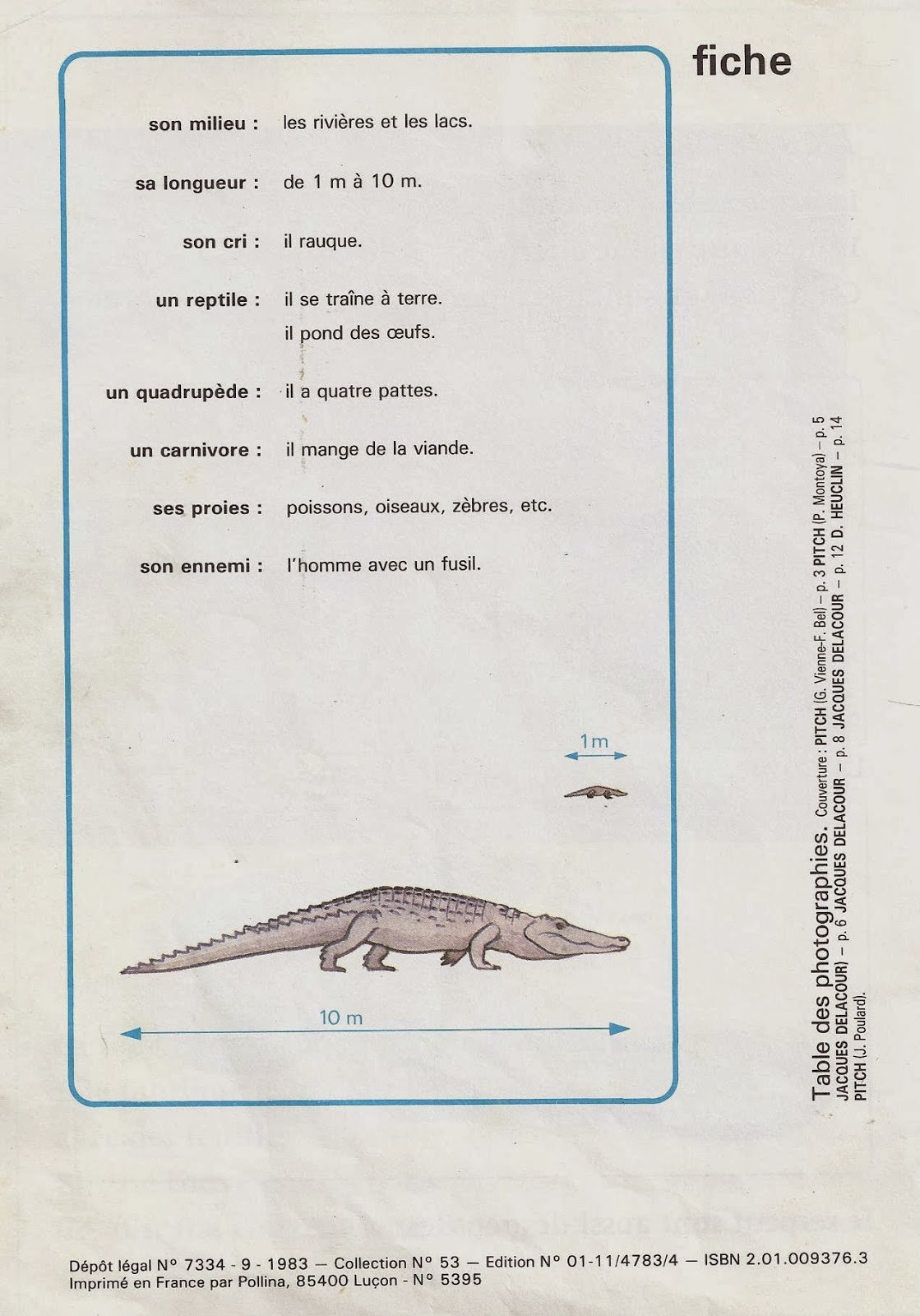 Leçons de choses: Le crocodile