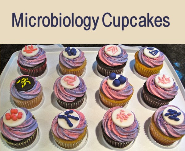 Medical Laboratory and Biomedical Science: Microbiology Cupcakes