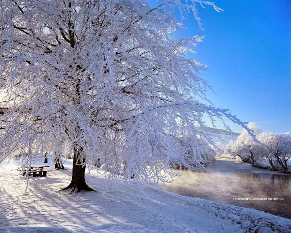 PAISAJES NEVADOS, BELLEZA QUE IMPRESIONA | OASISINGULAR