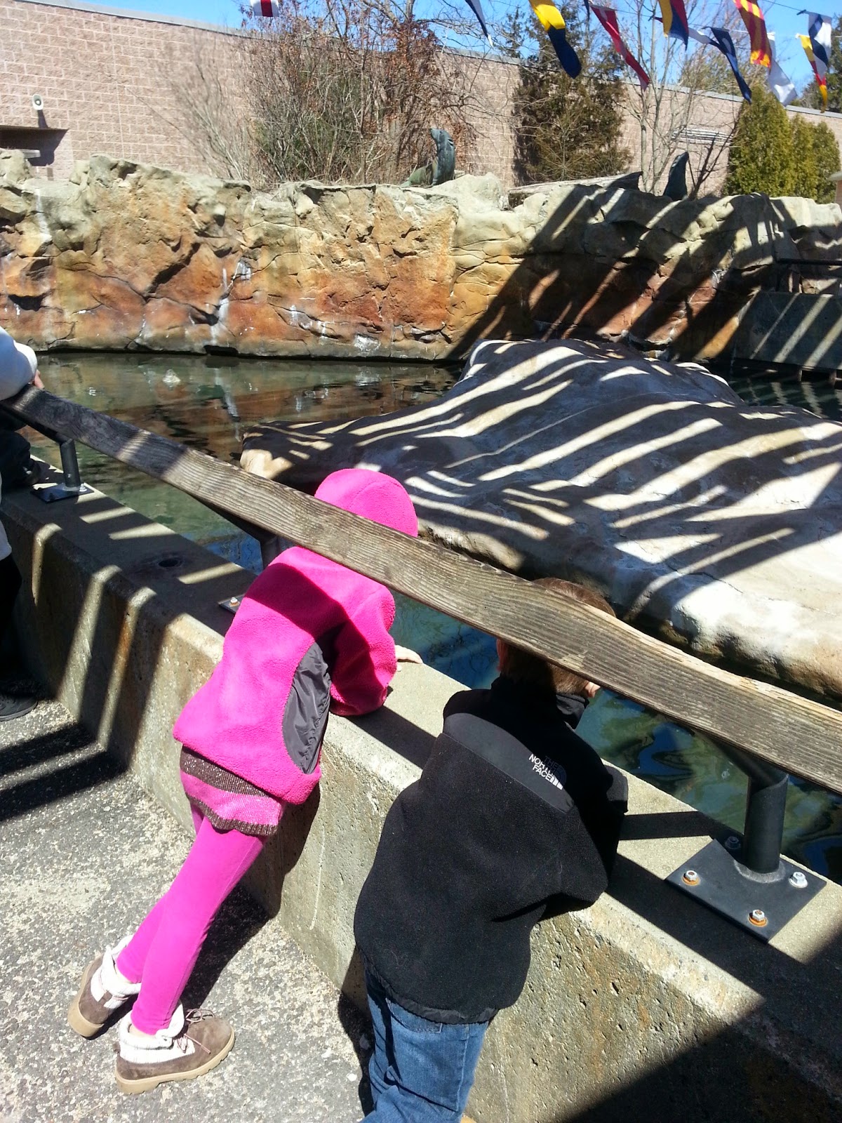 Love Life Laugh Learn: BABAR, To Duet or Not to Duet