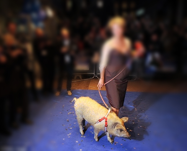 BABI + BIRI-BIRI = BABIRI | Gilerahh