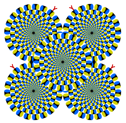 Turtz on the Go: Optical Illusion - Test Your Visual Capacity
