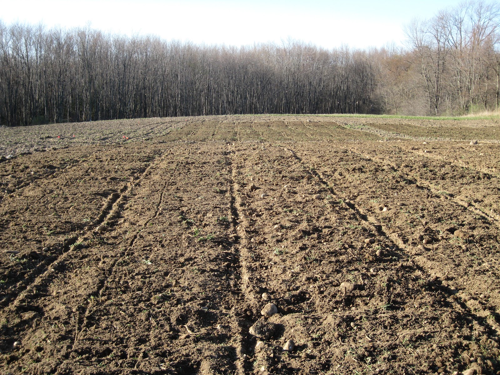 Daily Harvest Farm: Soil prep continues...