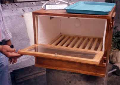 Proceso de Incubacion en Aves: PROCESO DE INCUBACIÓN EN AVES