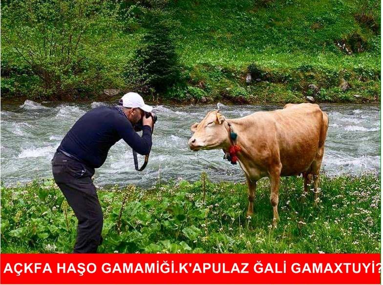 ARHAVİ ARKABİ HACİŞİ: Lazca