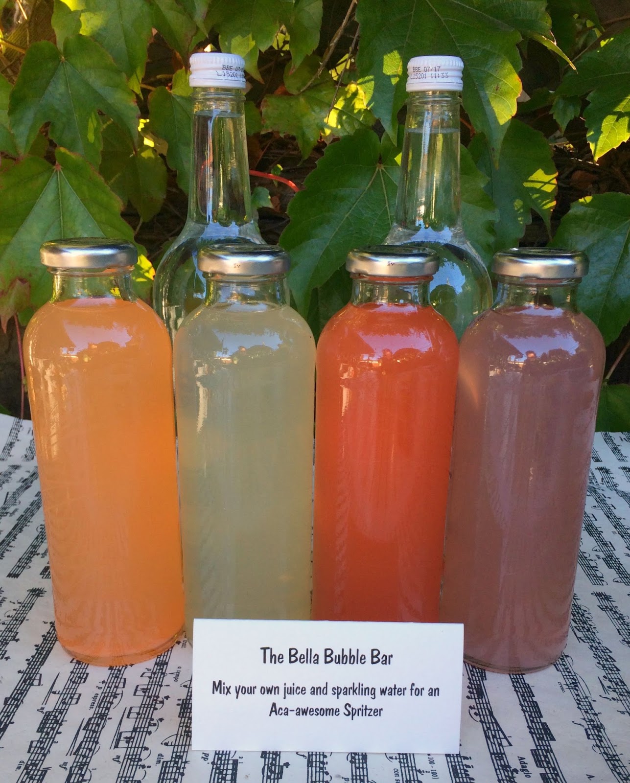 Jac o' lyn Murphy: The Pitches are back - Pitch Perfect 2 Party