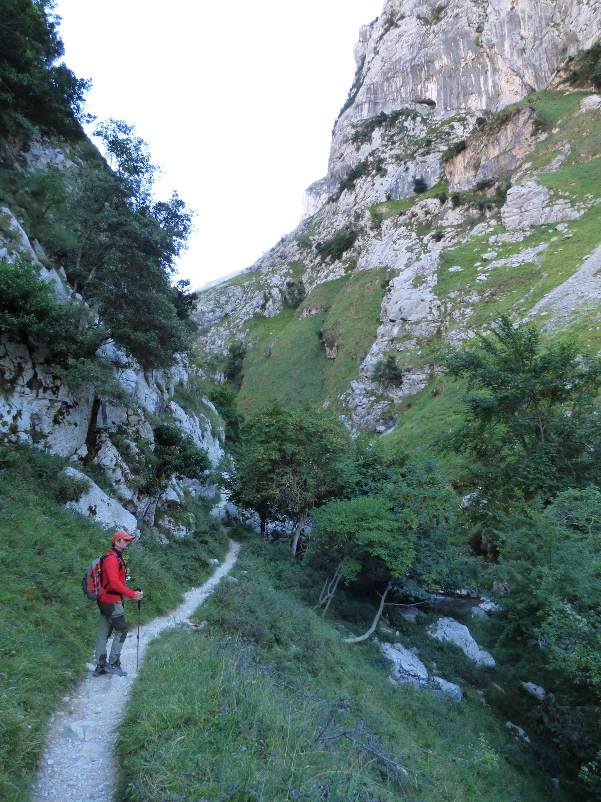 EL MOCHUELO CURIOSO: Ruta SUBIDA A BULNES - PICOS DE EUROPA.
