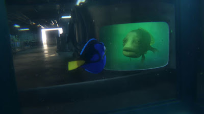 The Reef, Kelp Forest & Marine Life Institute - Exploring The Worlds of ...