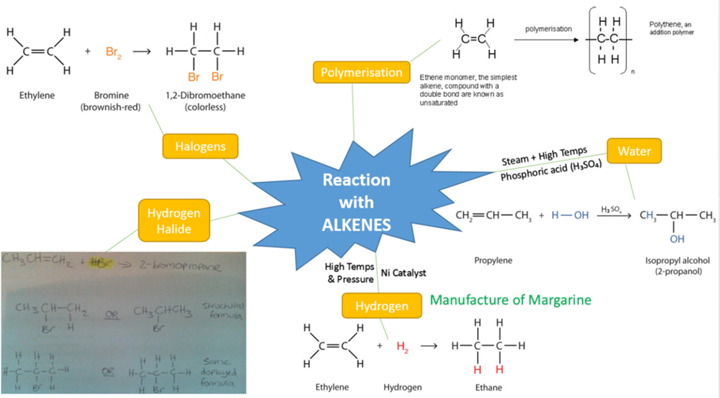 The Chemistry Club: Reactions with Alkenes