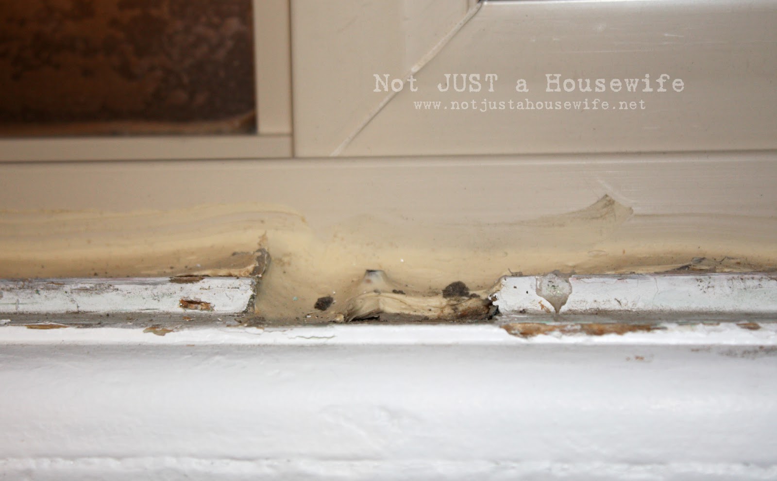 Fixing My Window Problem - Stacy Risenmay