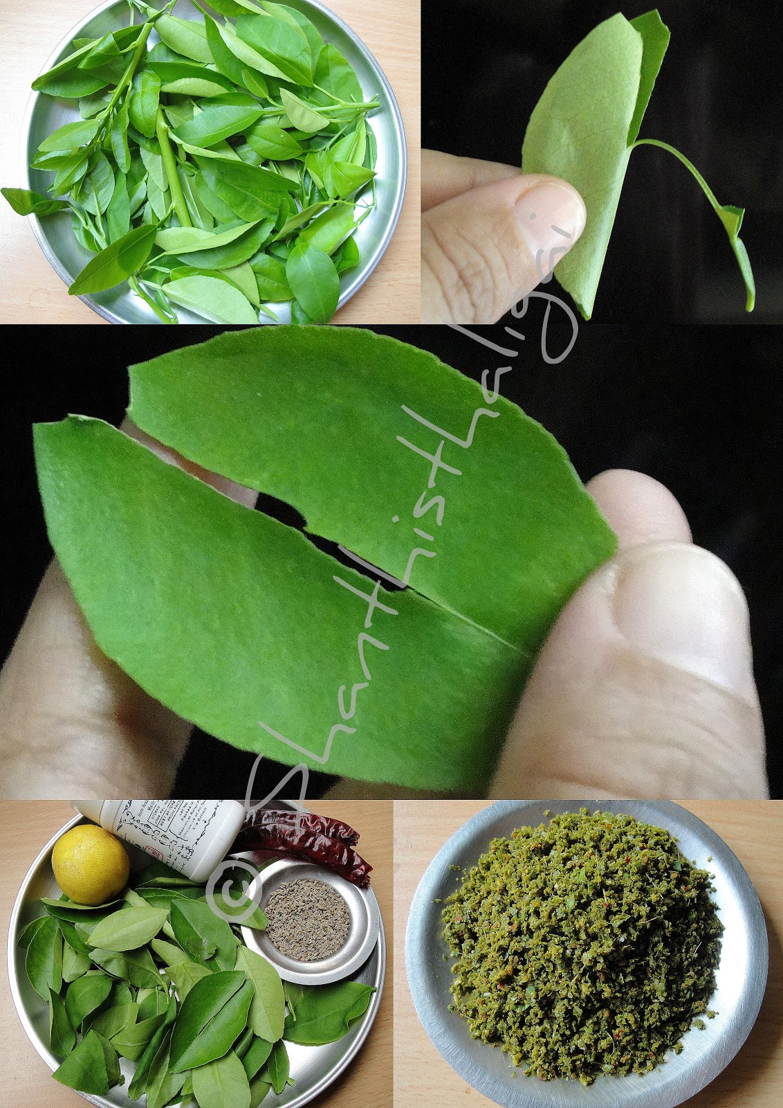 Shanthi Krishnakumar's cook book: NARTHA ILAI PODI / VEPPILAI KATTI ...