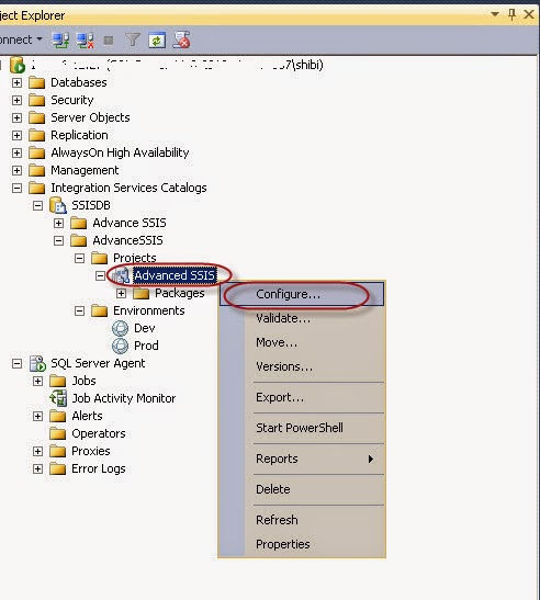 LearnSQL: Implementing SSIS Environment Variables LearnSQL: Implementing SSIS Environment Variables