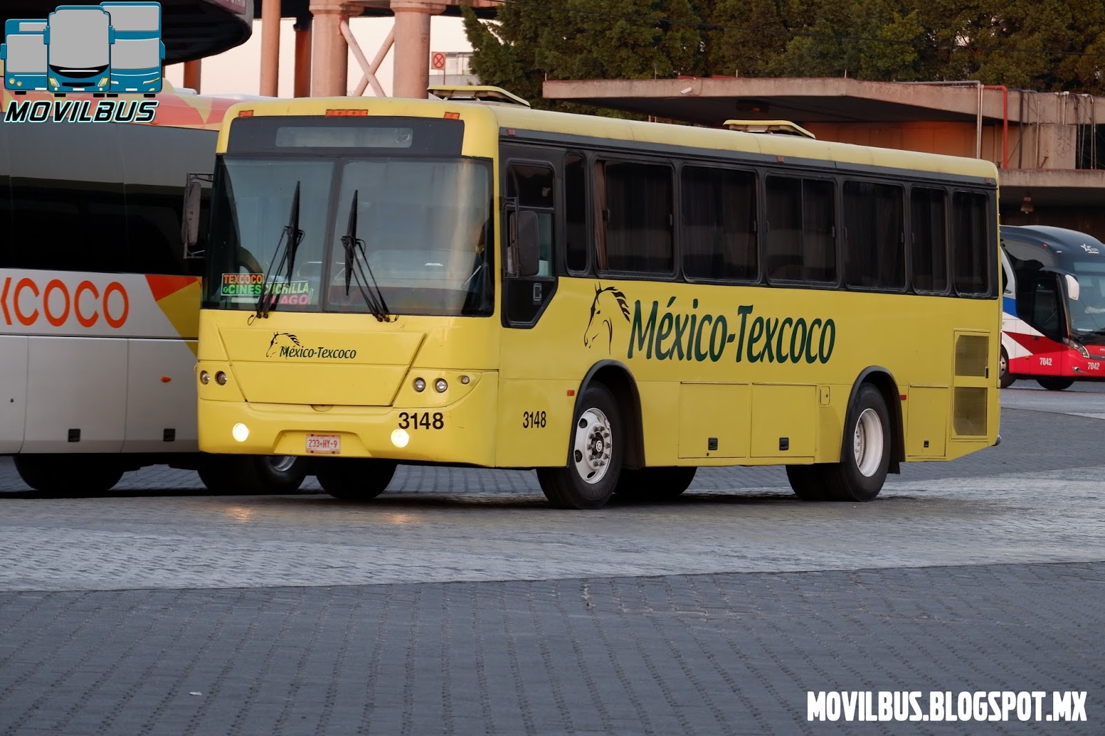 Más de 100 fotografías de los autobuses de Grupo Texcoco.