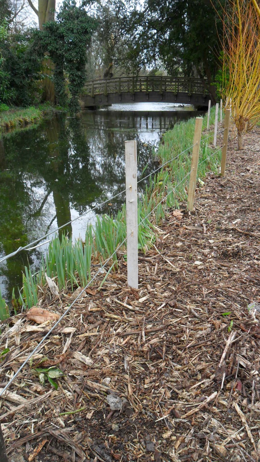 Worcester College Gardeners 2009-2018: Canada Goose Proof Fence