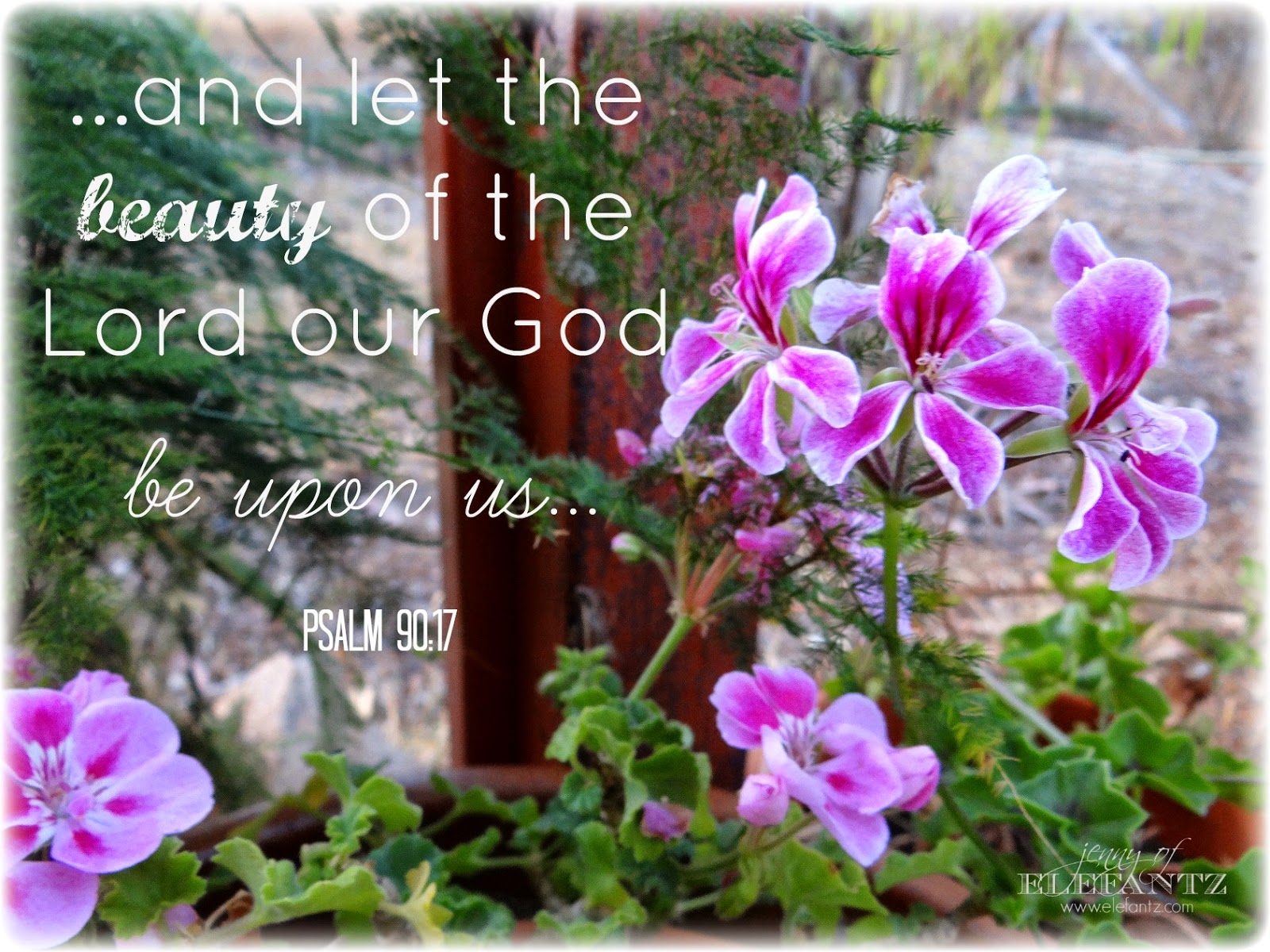 Jenny of ELEFANTZ: Sunday Scripture ~ Psalm 90:17