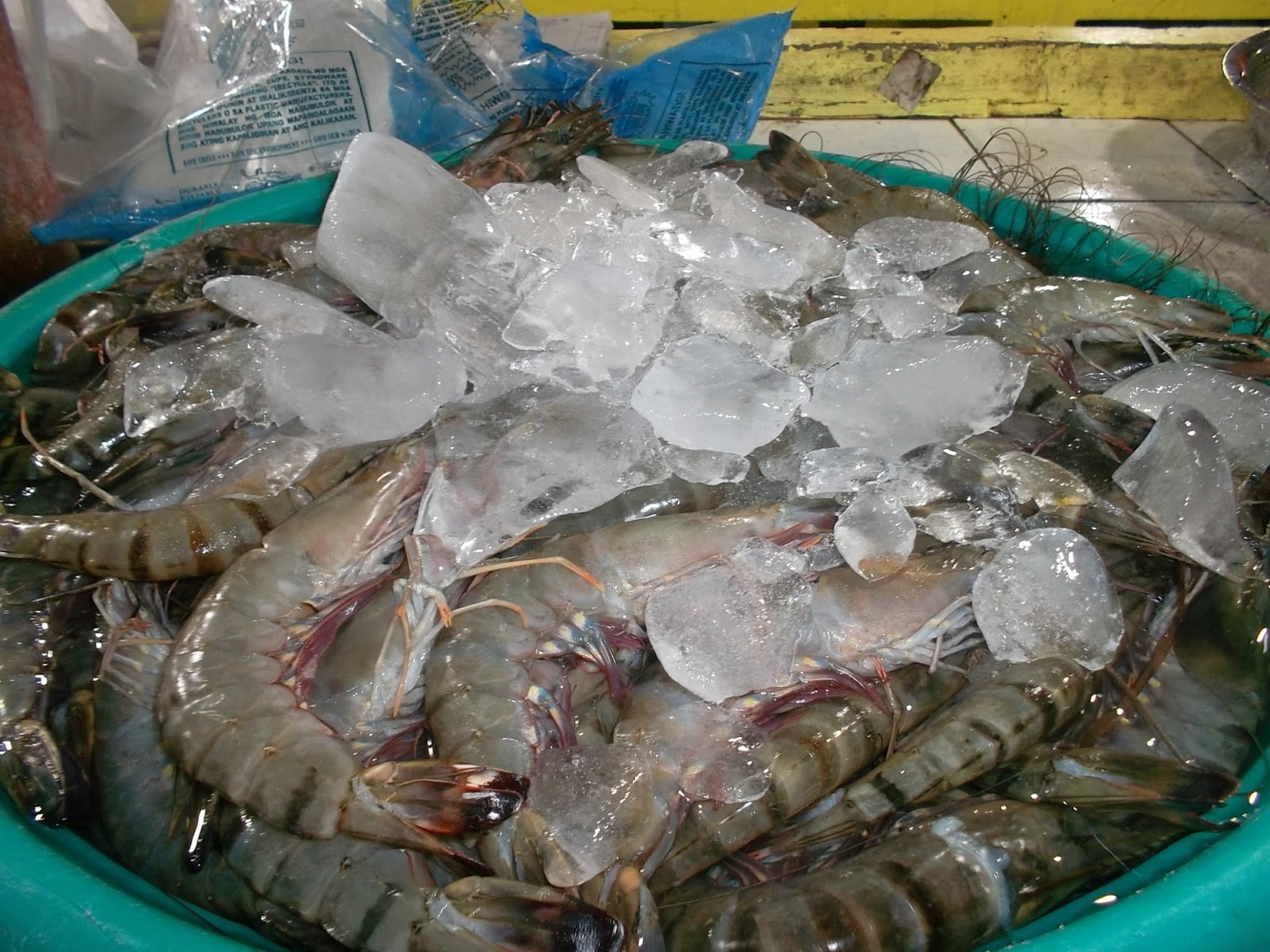 Konted's Make My Day 2: Dampa Sa Libis