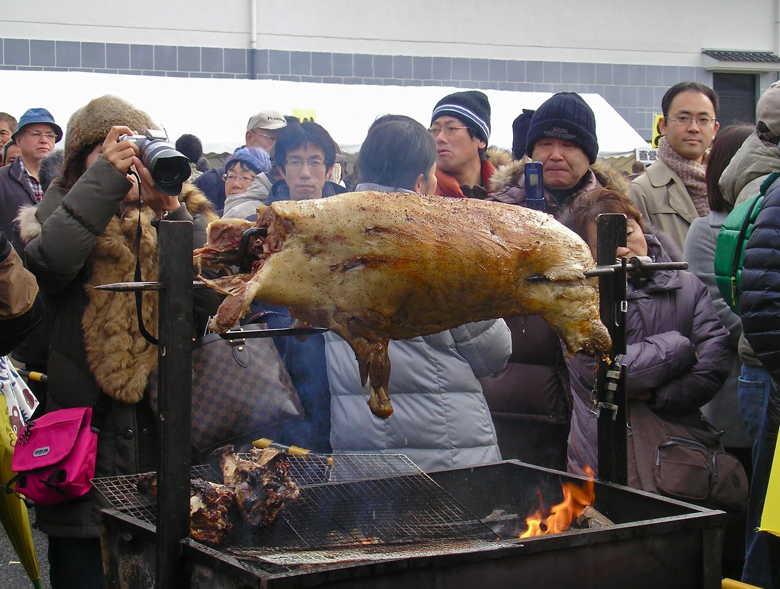 Craig and Quinn's Nihon Adventure: Inoshishi Matsuri (Prepare to have ...