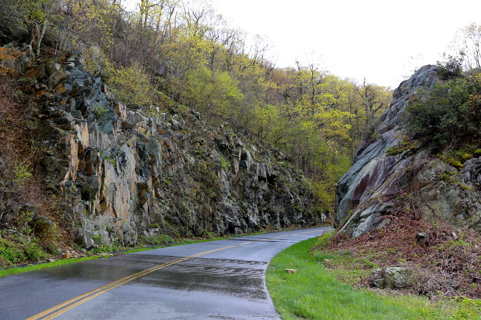 Sweet Southern Days: On The Road Again