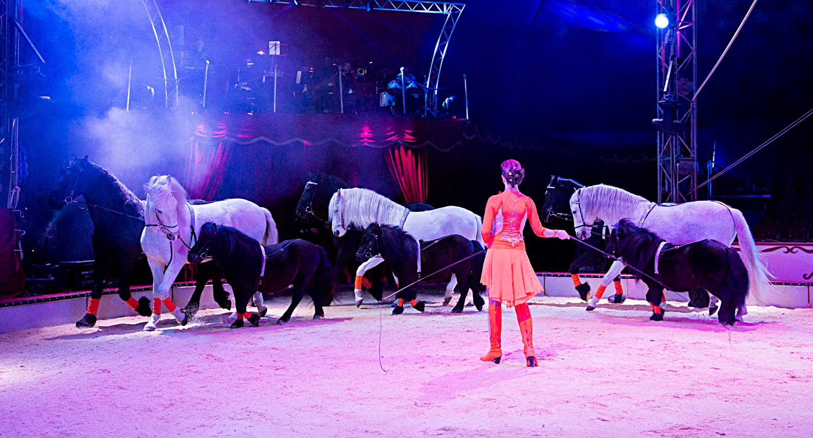 Yvon Kervinio photographe: Circus NOCK 2018. Photos Thierry BISSAT