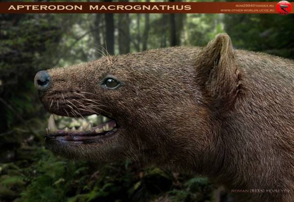 Escenarios prehistóricos: Apterodon