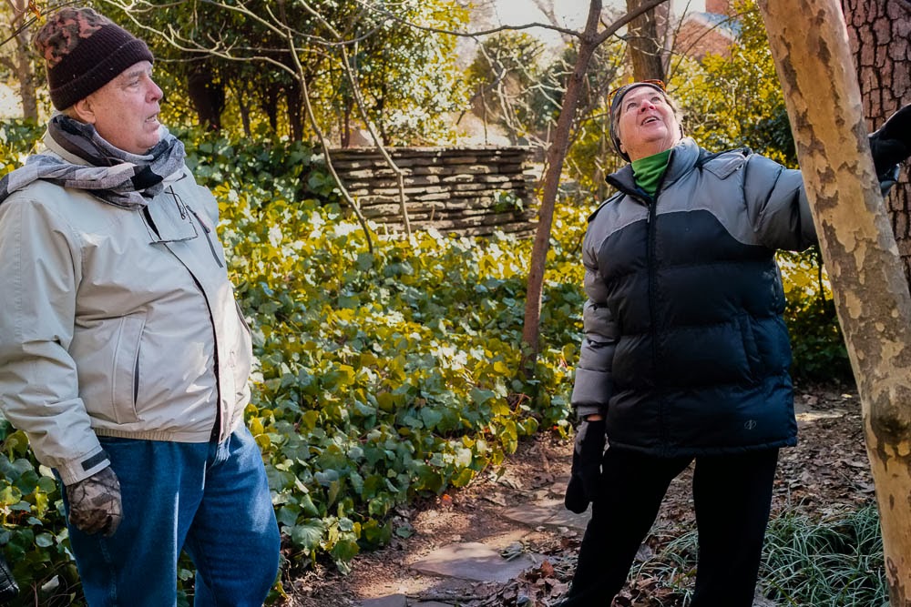 SAPS-NCGA: Winter Tree ID with Flo Chaffin compiled by Kathy Stilwell ...