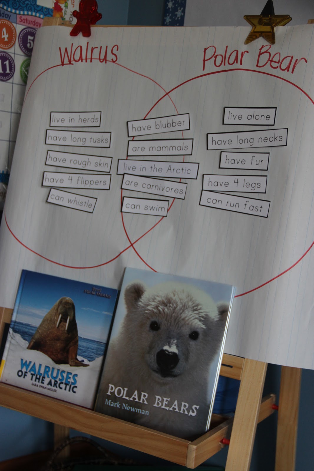 The Johnson Journey: Unit Theme: Winter/Polar Animals