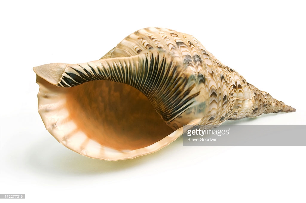 The Firecloud Report: The Conch Republic