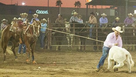 Manual Vaquero: ¿QUE ES EL RODEO? ¿CUALES SUERTES SE REALIZAN?