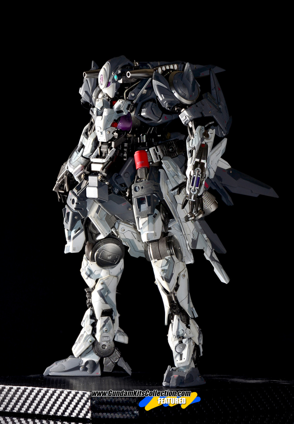 Custom Build: MG 1/100 ESF GNX 606T Dominator