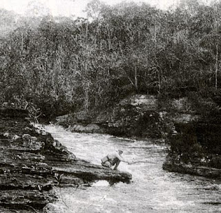 Bria's Blog: Theodore Roosevelt River of Doubt