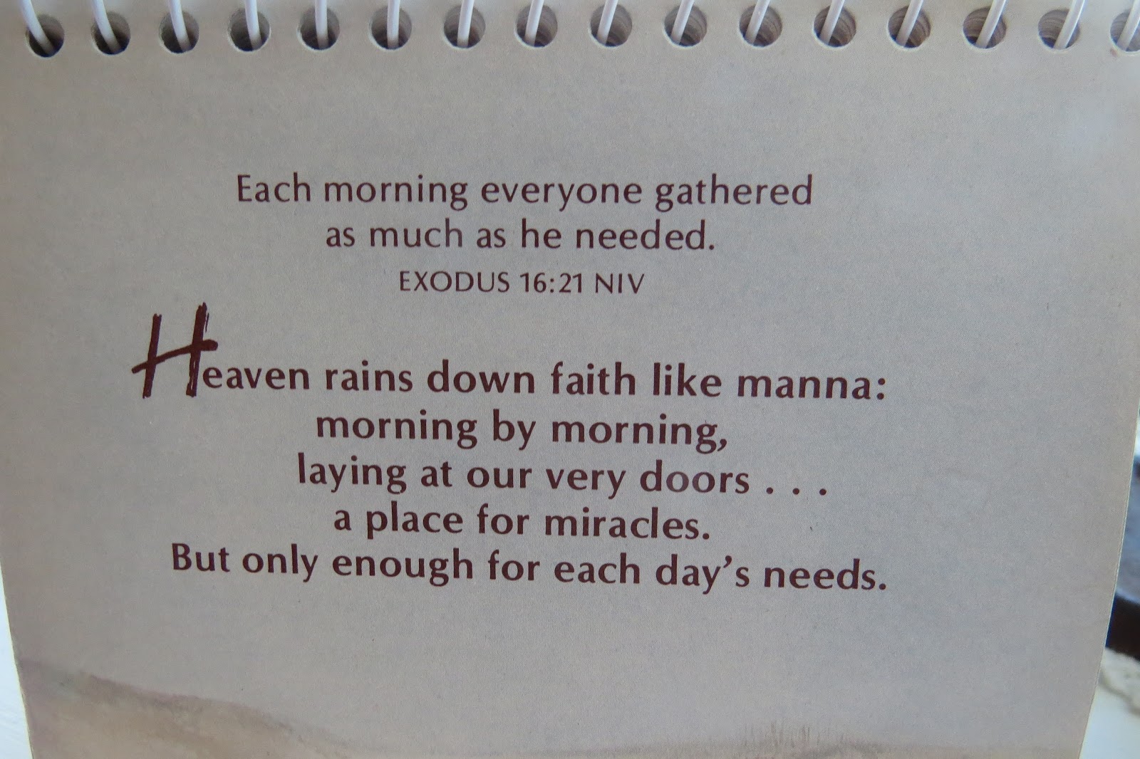 Oh Taste And See: Manna Grace... The Miracle for Today