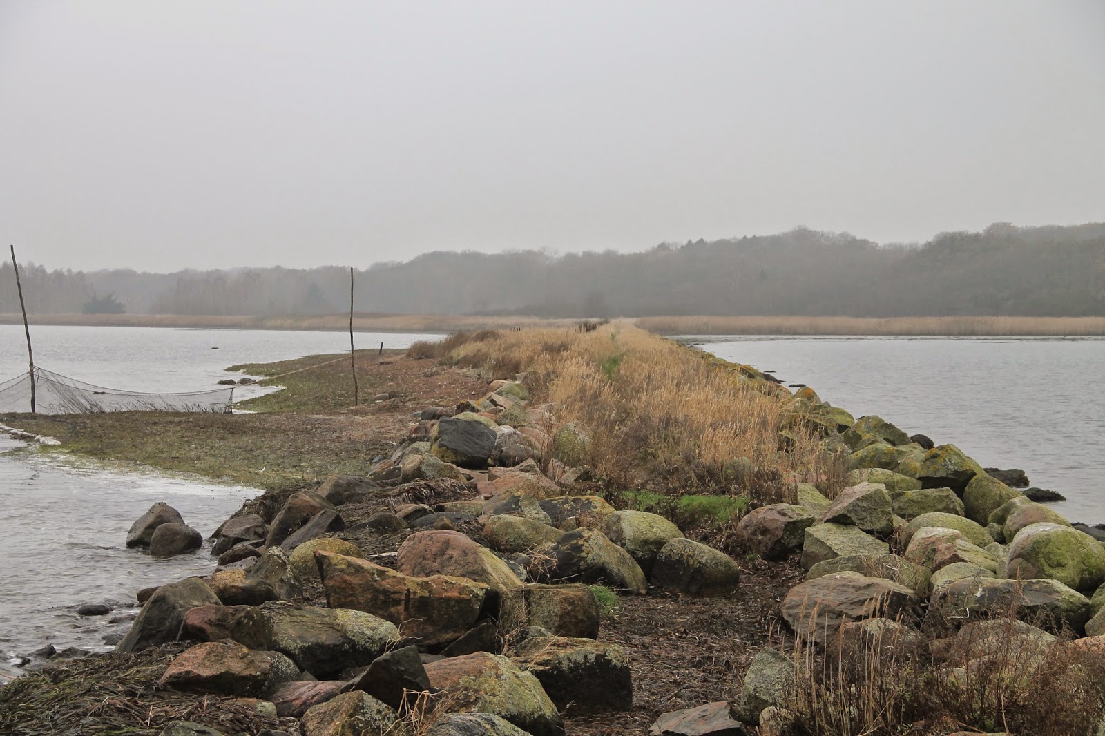 Vandringsløse Tidende: Nordskoven Hornsherred - Fjordstien