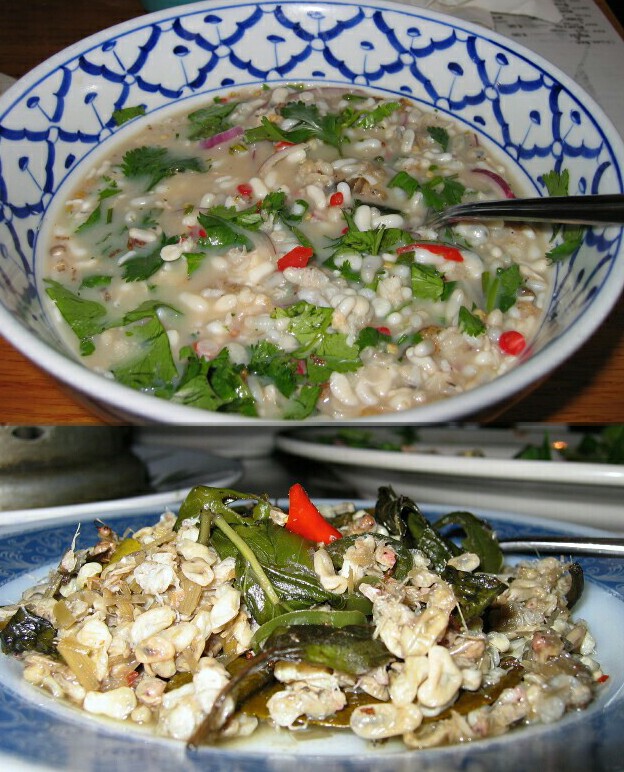 Budi Daya Kroto Information – Jati.id