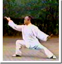 NYC Chen Tai Chi: How to Improve our Stances and Postures in the Form