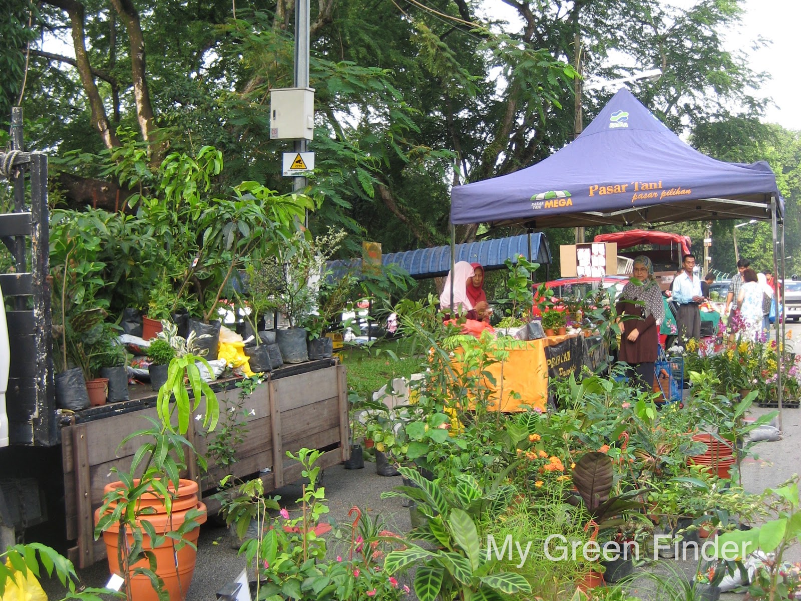 MY GREEN FINDER | Plant Vendors: Orchard Green Agriculture @ Pasar Tani ...