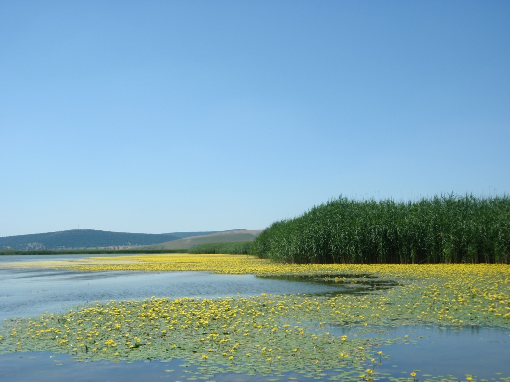 Insula Popina – Romania vazuta din caiac
