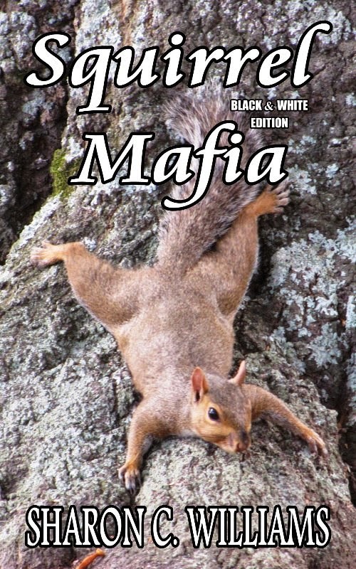 Aspirations of a Novelist: SQUIRREL MAFIA HIT THE GROUND AND RUNNING!