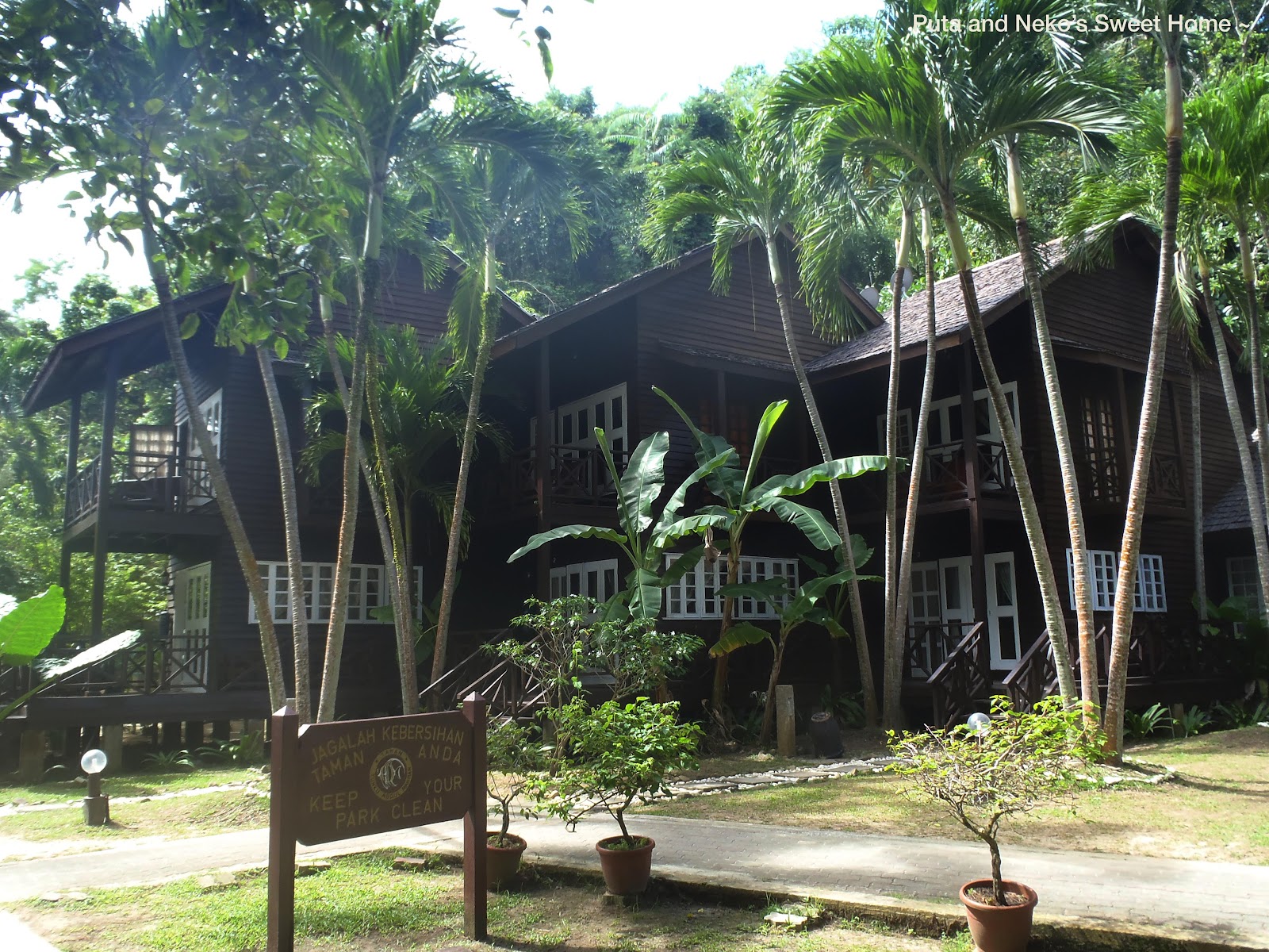 Puta and Neko's Sweet Home