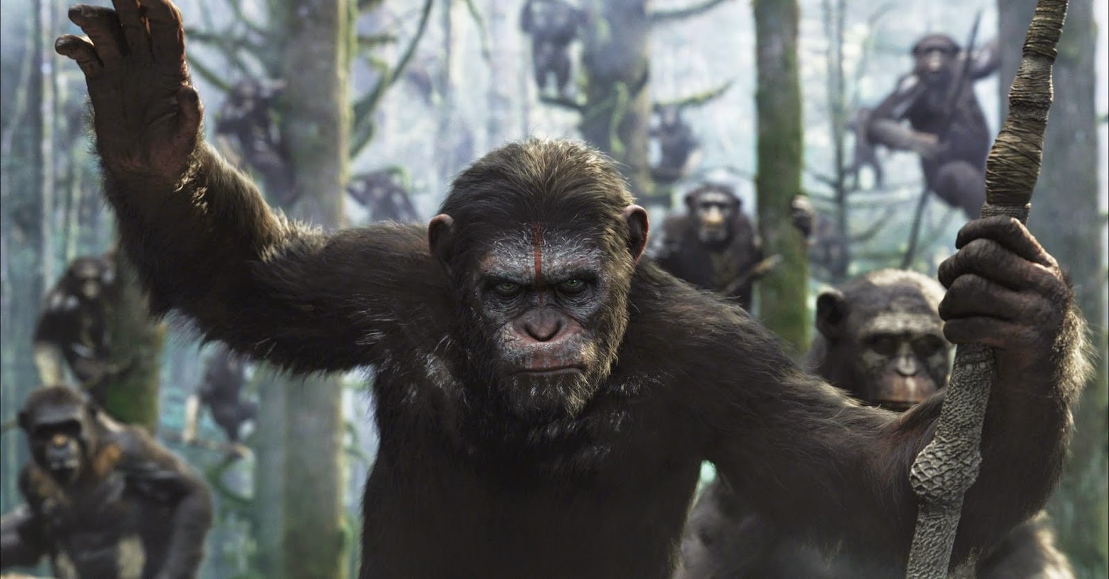 Chaos Corner: Mini-Movie Reviews- Apes, Guardians, Turtles