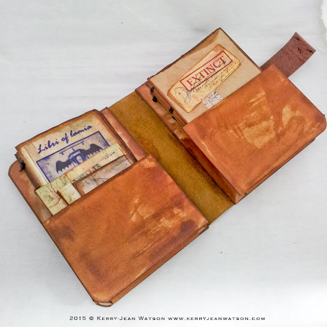 Kerry-Jean Watson: Vampire Hunter Journal